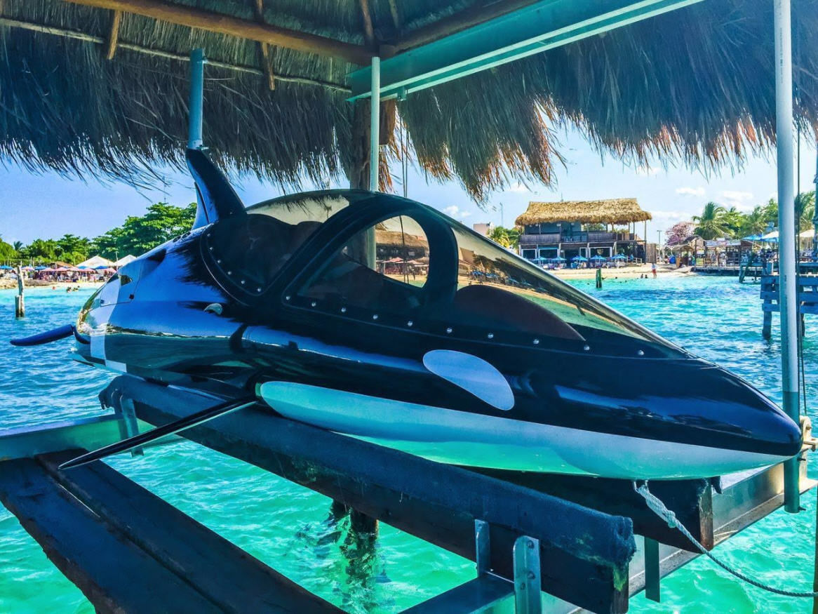 Seabreacher© - SEABREACHER Y - Innespace Productions